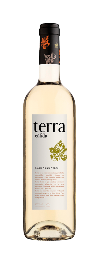 Terra Calida Blanco – Mr Vin